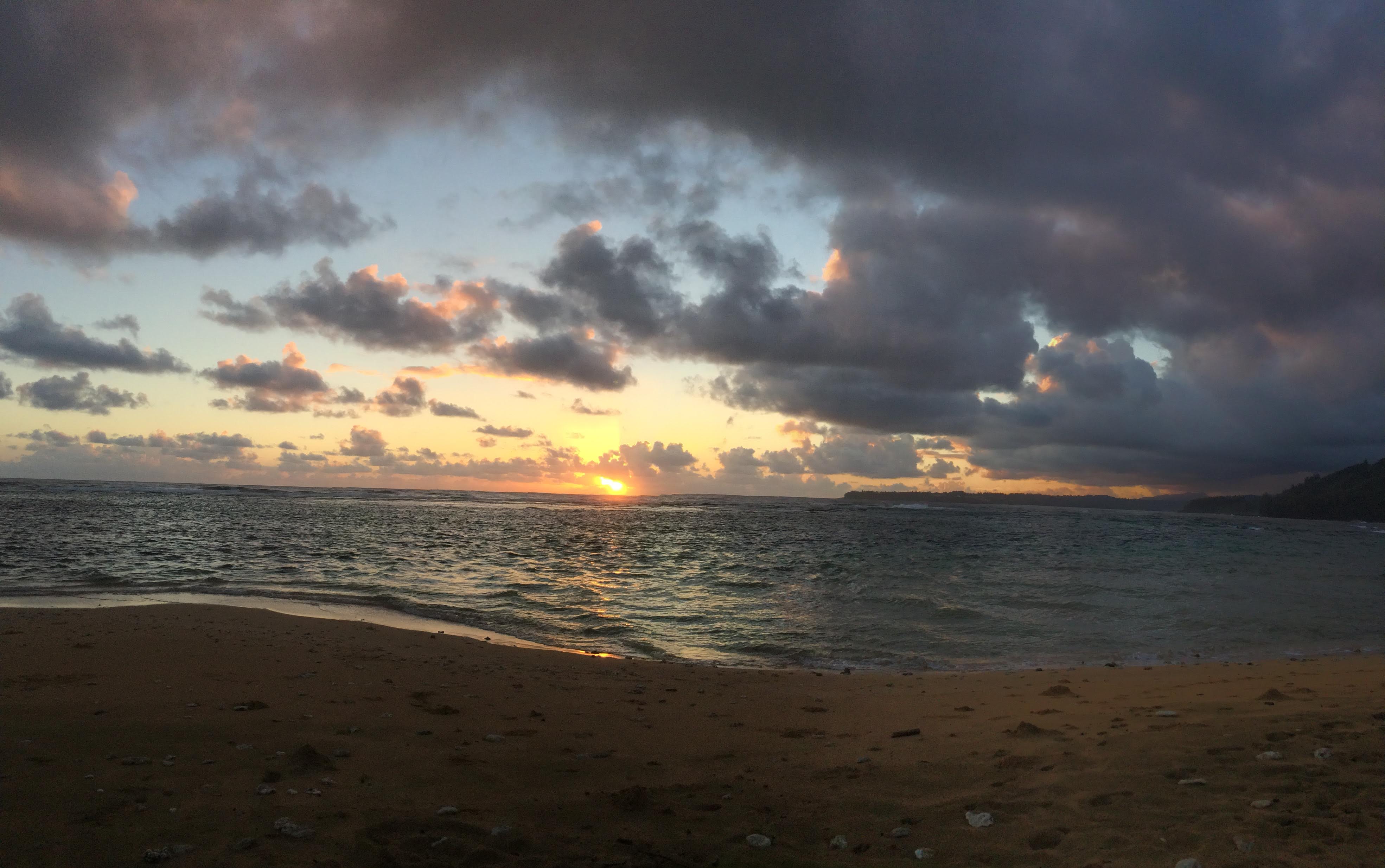 Books – Lisa Meltzer Penn